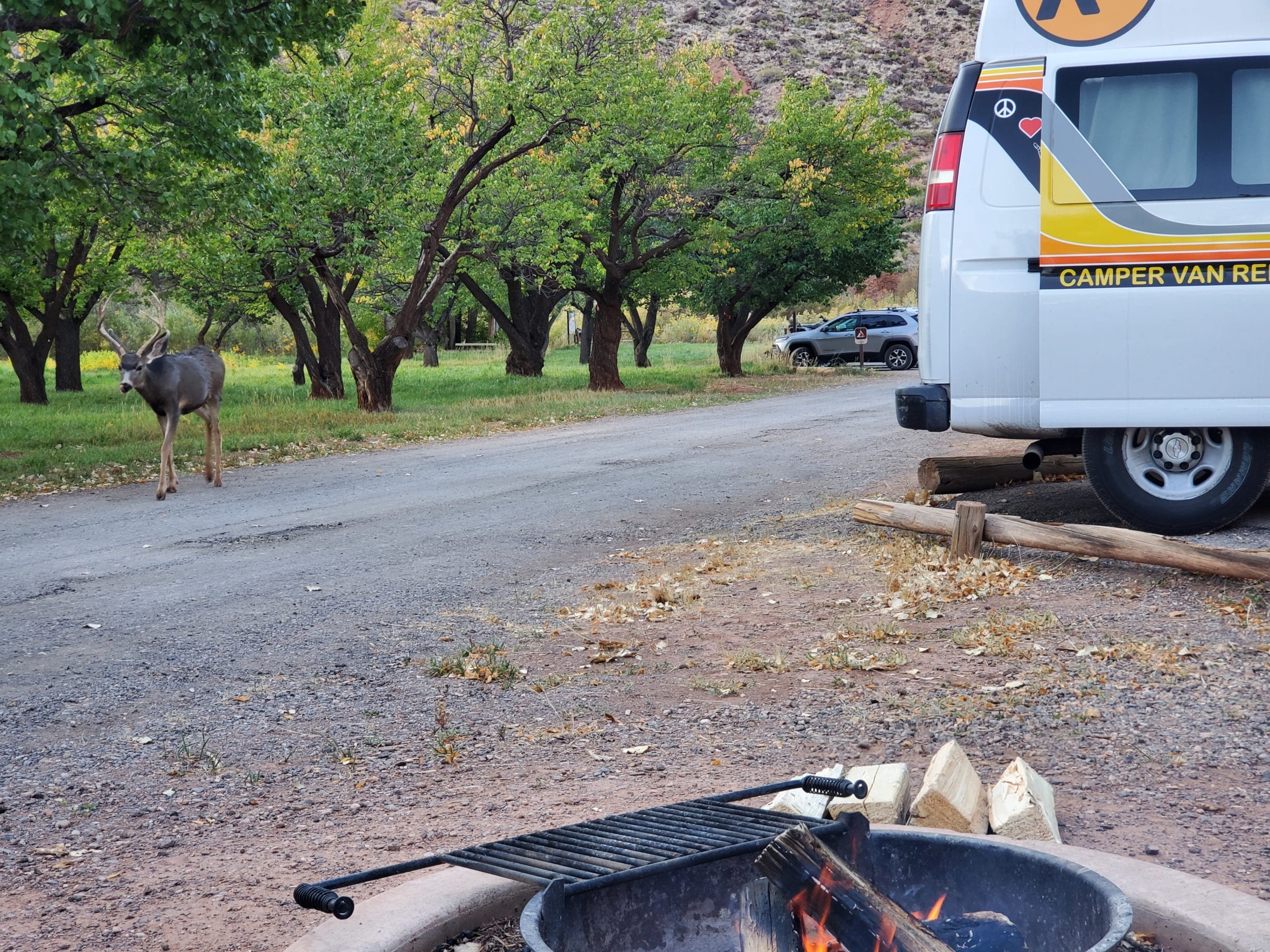 Fruita Campground: How To Camp at Capitol Reef National Park | Grounded ...