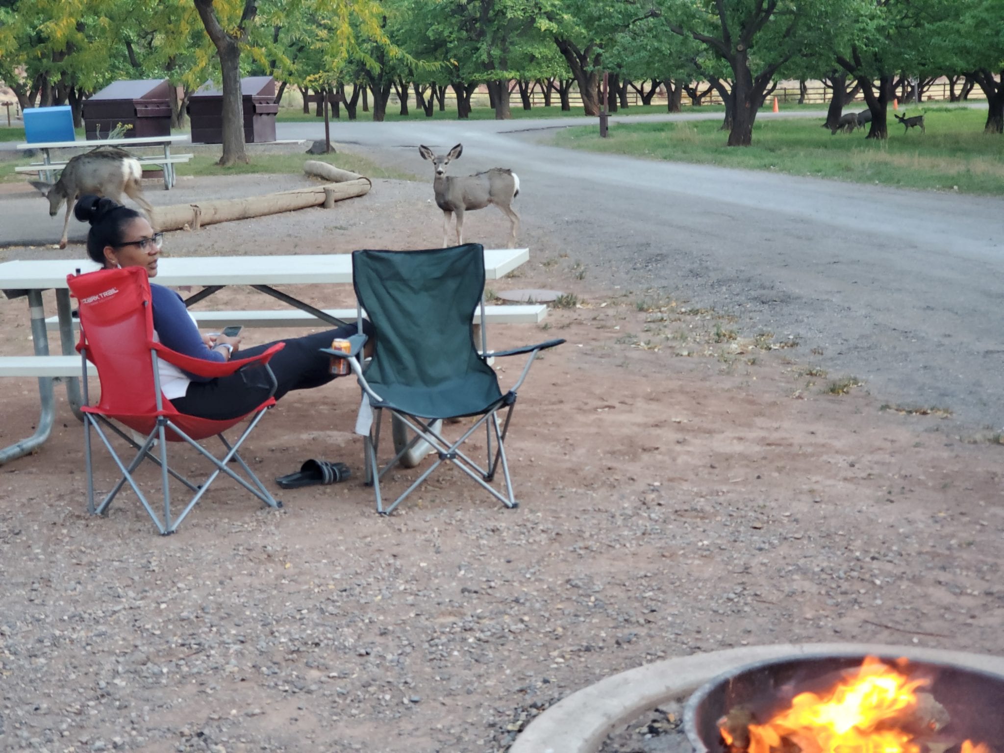 Fruita Campground: How To Camp at Capitol Reef National Park | Grounded ...