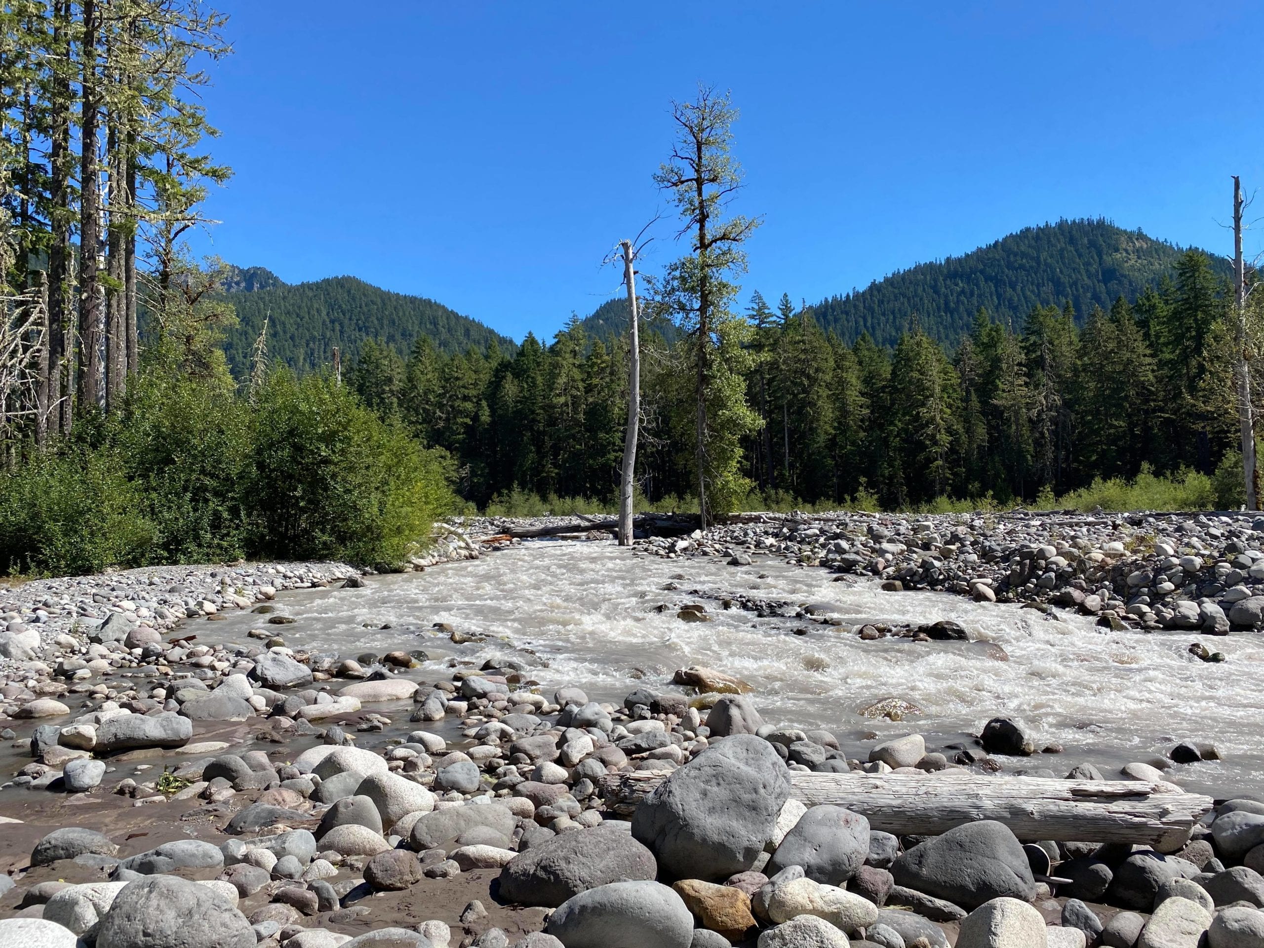 11 Things You Need To See At Mount Rainier National Park | Grounded ...