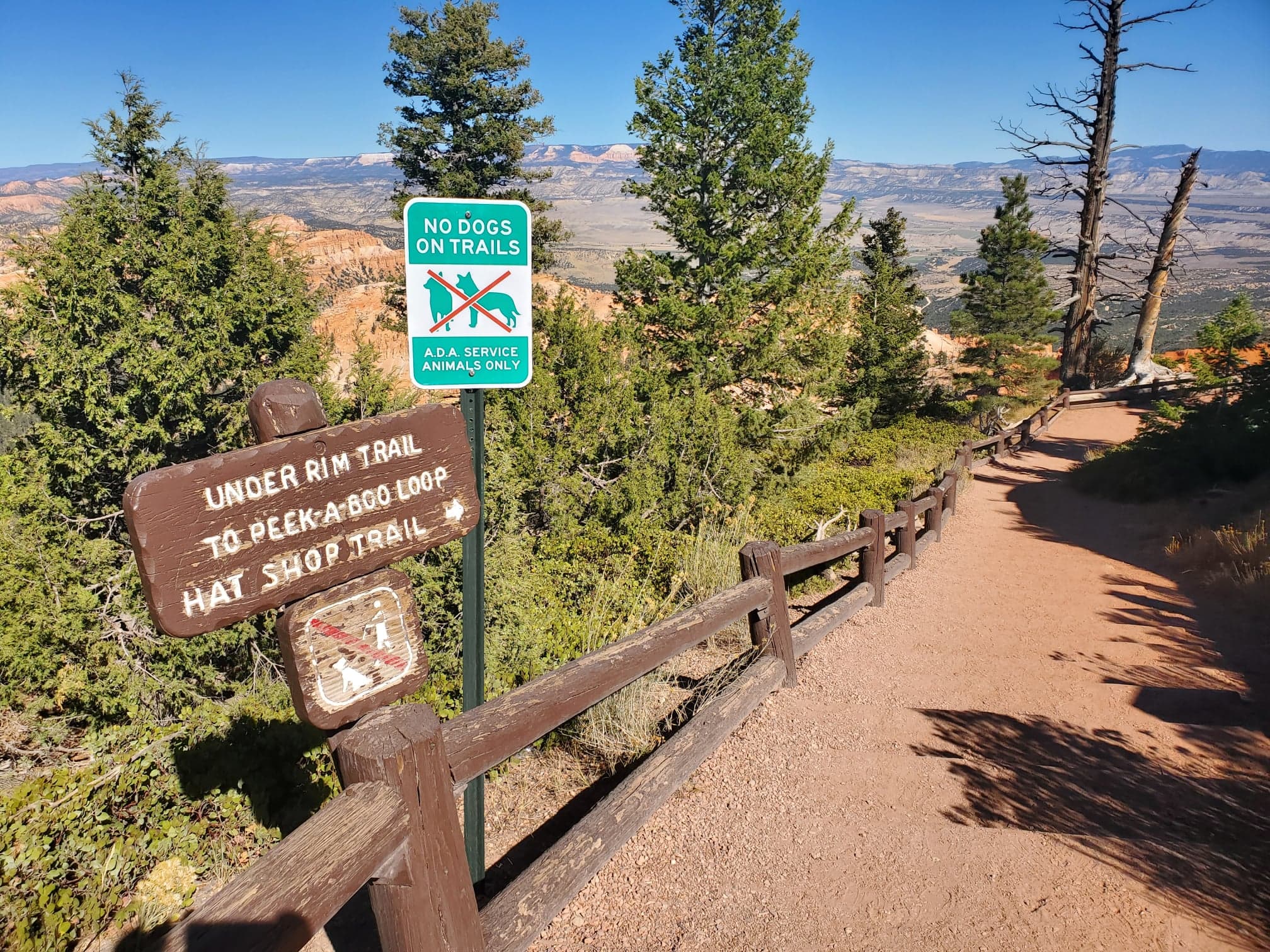 Top 10 Things To See In Bryce Canyon National Park | Grounded Life Travel