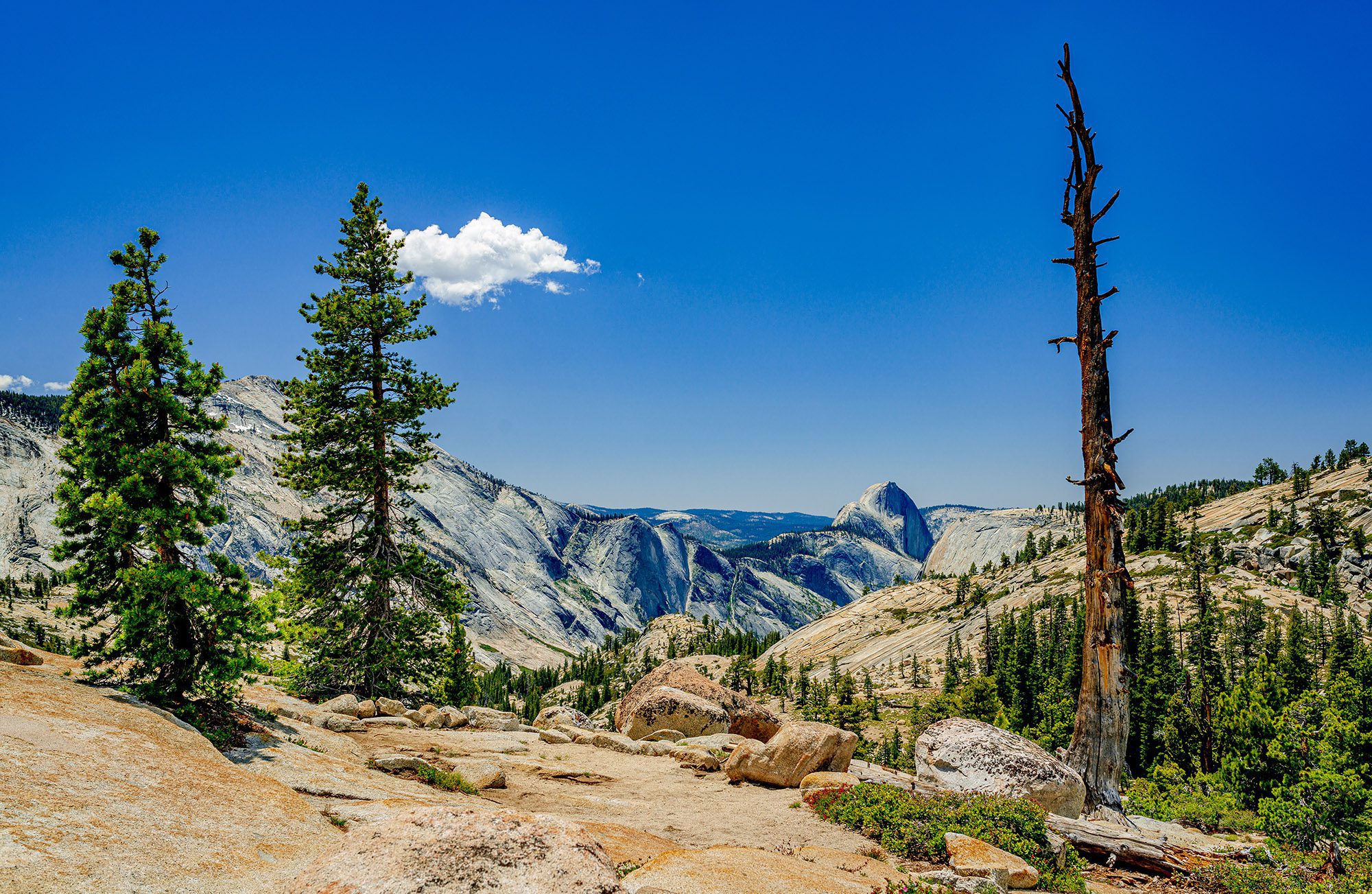 12 Things You Need To See At Yosemite National Park | Grounded Life Travel
