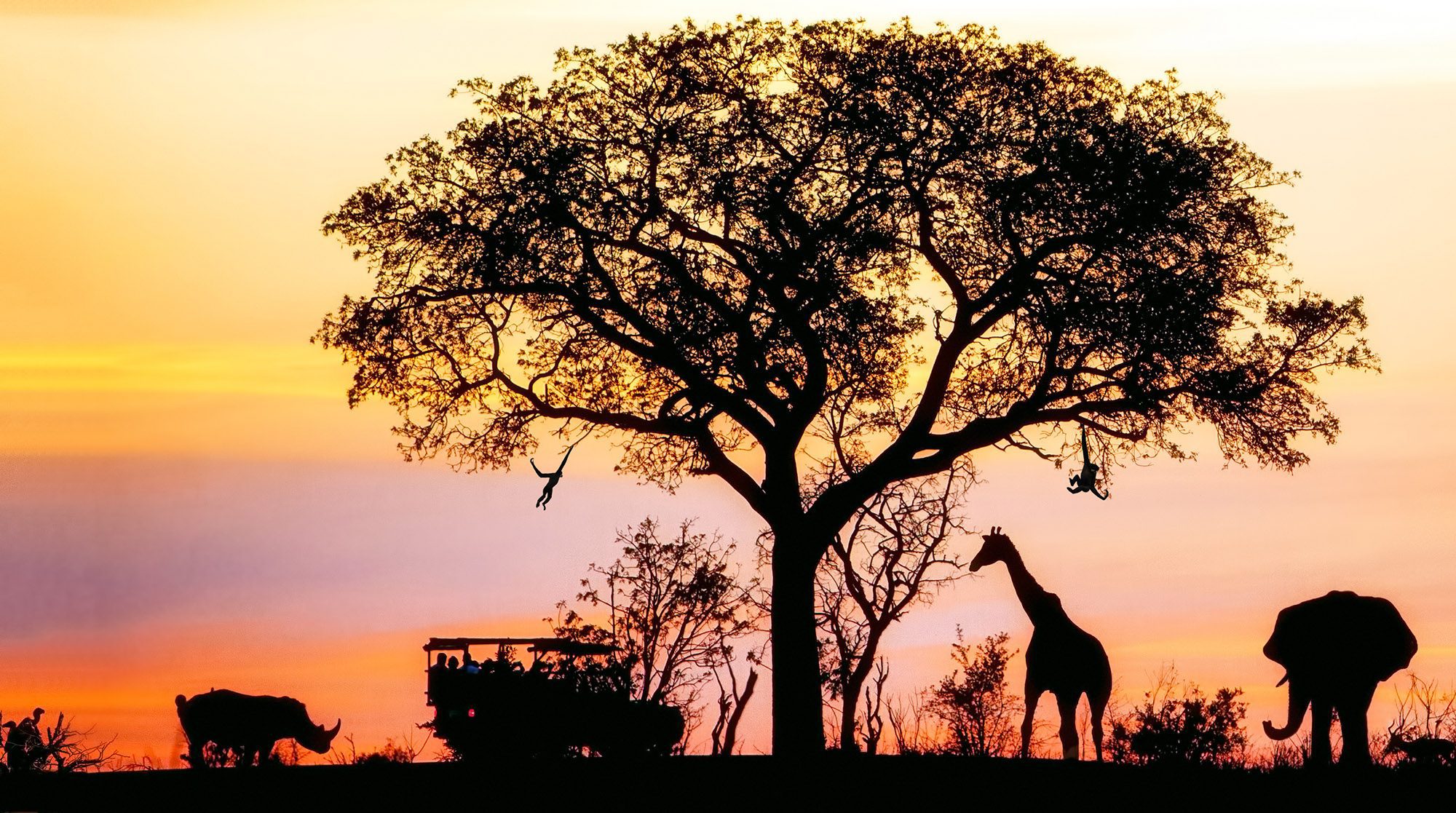 Rovos Rail-10 Things You Need to Know Before Riding This South African ...